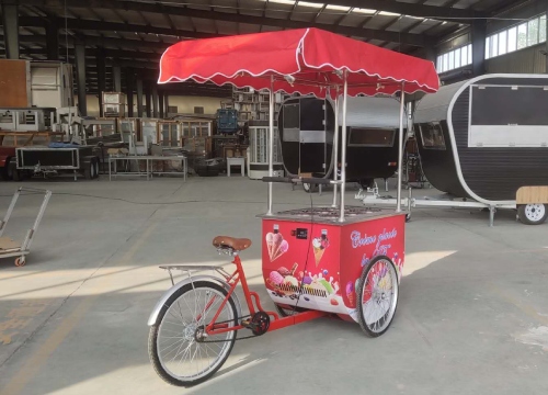 Mini Freezer Bike Cart for Mobile Ice Cream Business in France
